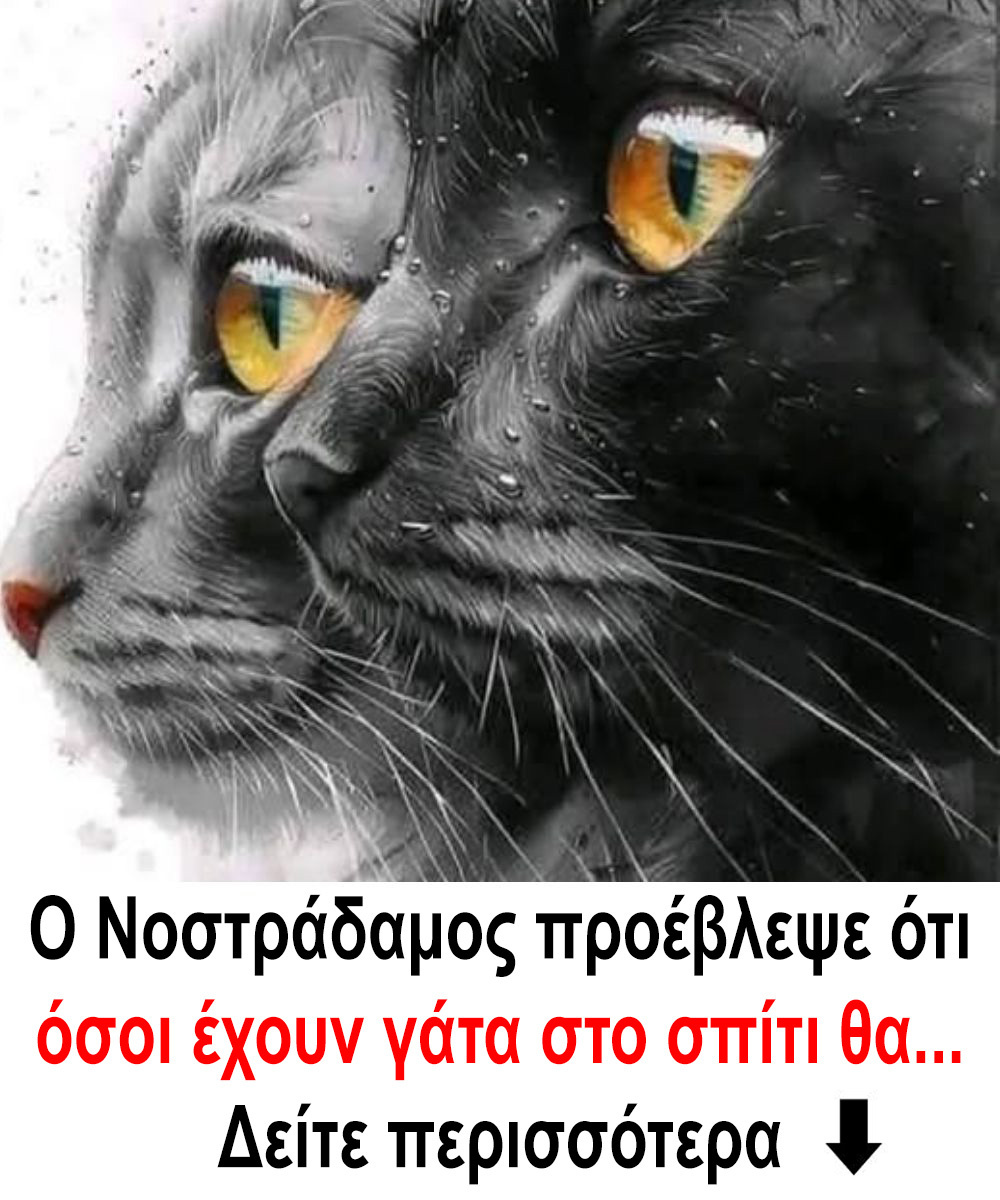 ΟΙ ΠΡΟΦΗΤΕΙΕΣ ΤΟΥ ΝΟΣΤΡΑΔΑΜΟΥ ΣΧΕΤΙΚΑ ΜΕ ΤΙΣ ΓΑΤΕΣ ΣΤΟ ΣΠΙΤΙ - Reporter ...