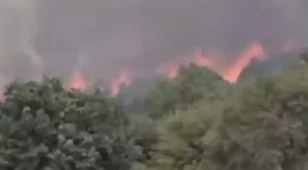 ΕΚΤΟΣ ΕΛΕΓΧΟΥ Η ΦΩΤΙΑ: ΚΤΗΝΟΤΡΟΦΟΙ ΑΠΟΜΑΚΡΥΝΟΥΝ ΤΑ ΖΩΑ ΤΟΥΣ ...