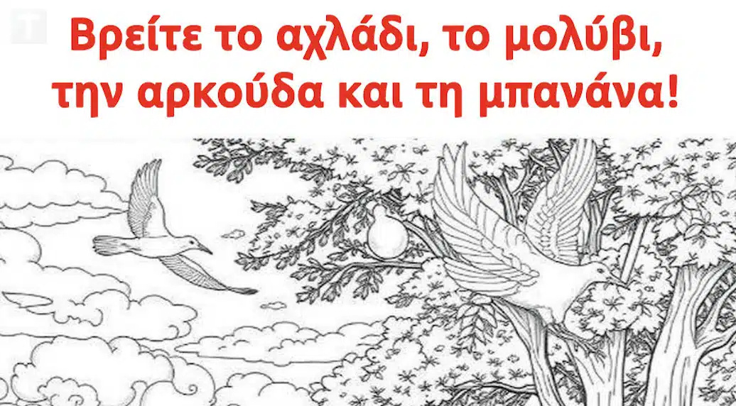Βρείτε το αχλάδι, το μολύβι, την αρκούδα και τη μπανάνα - Reporter Online